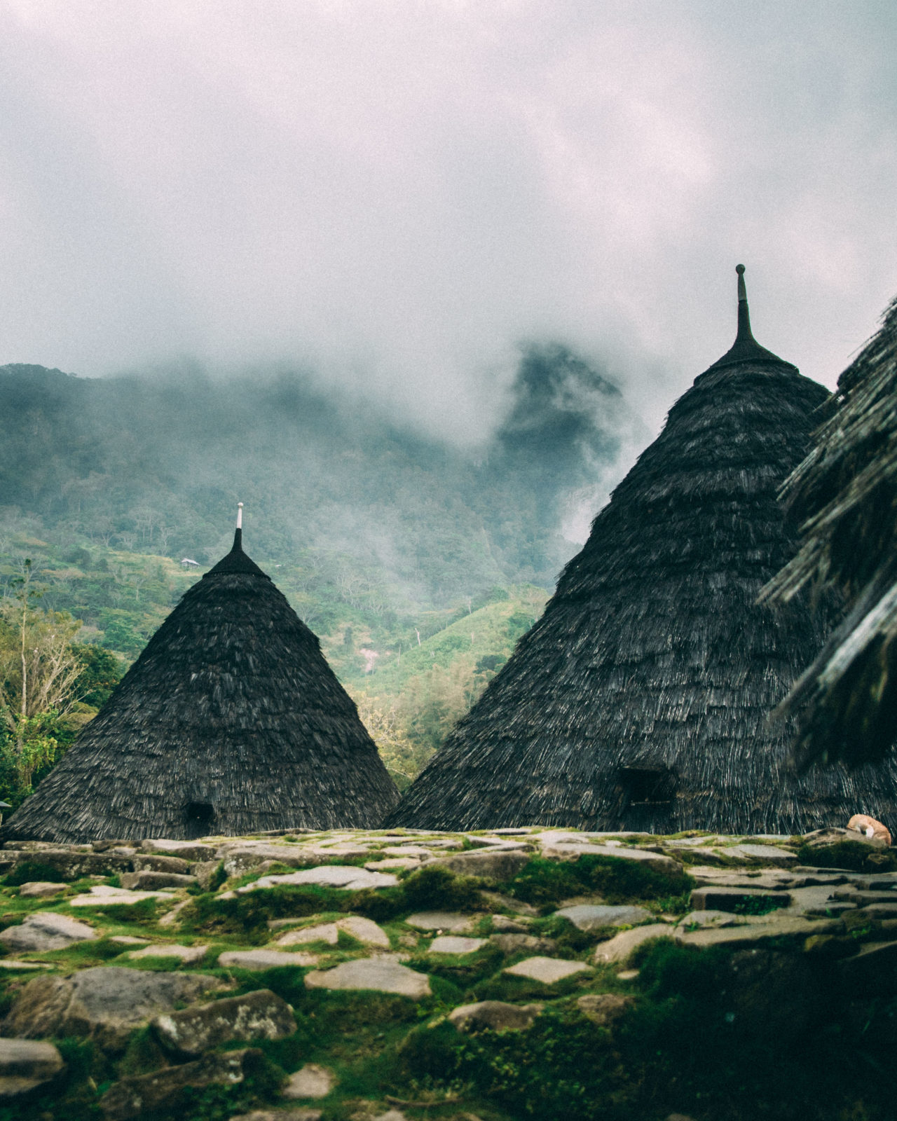 Waerebo : A Village Above the Cloud | Hello Flores